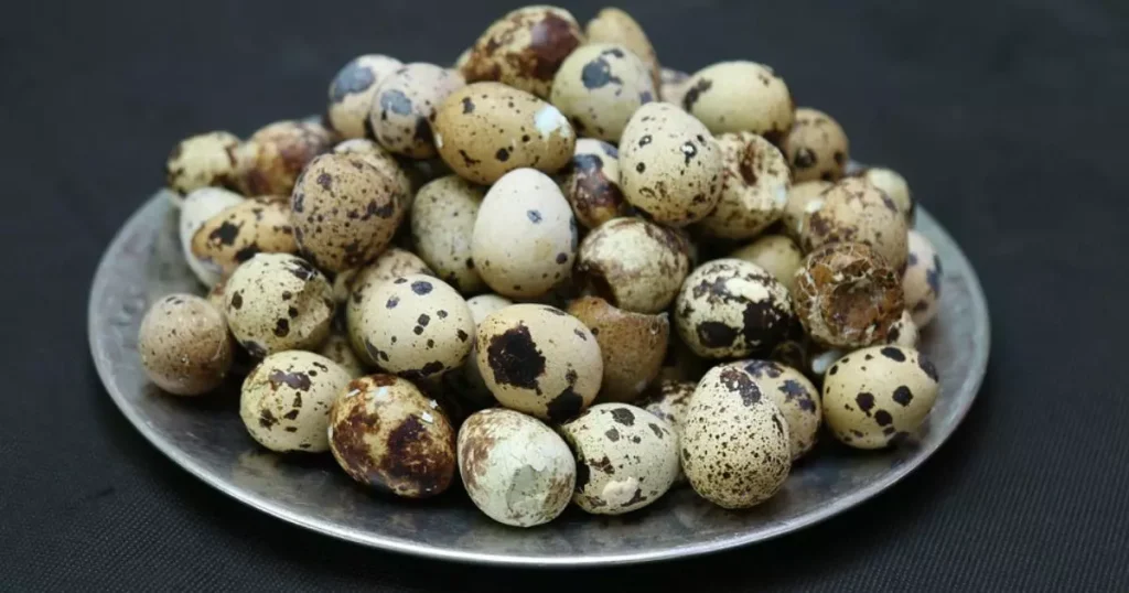3 Receitas com ovos de codorna que vai te deixar de queixo caído